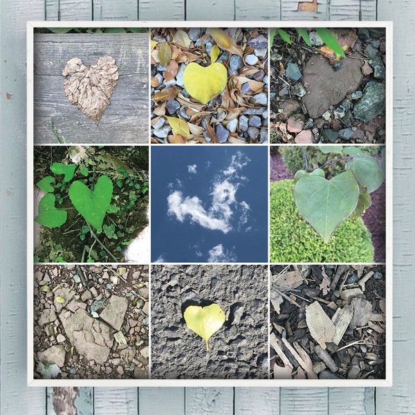 Nature Collage Art - Etsy