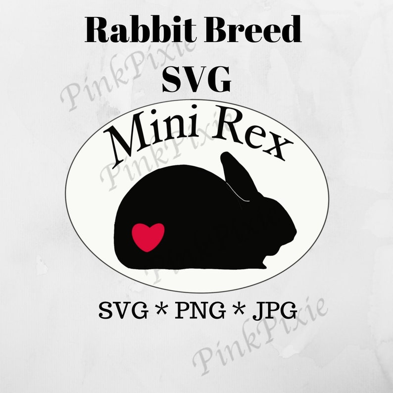 Mini Rex Rabbit Breed Graphic in SVG PNG and JPG for Instant - Etsy