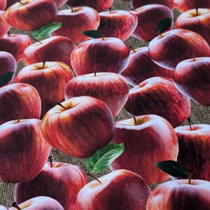 Apple Fabric - Apple Orchard Woven Quilting Cotton Material - Camelot ...