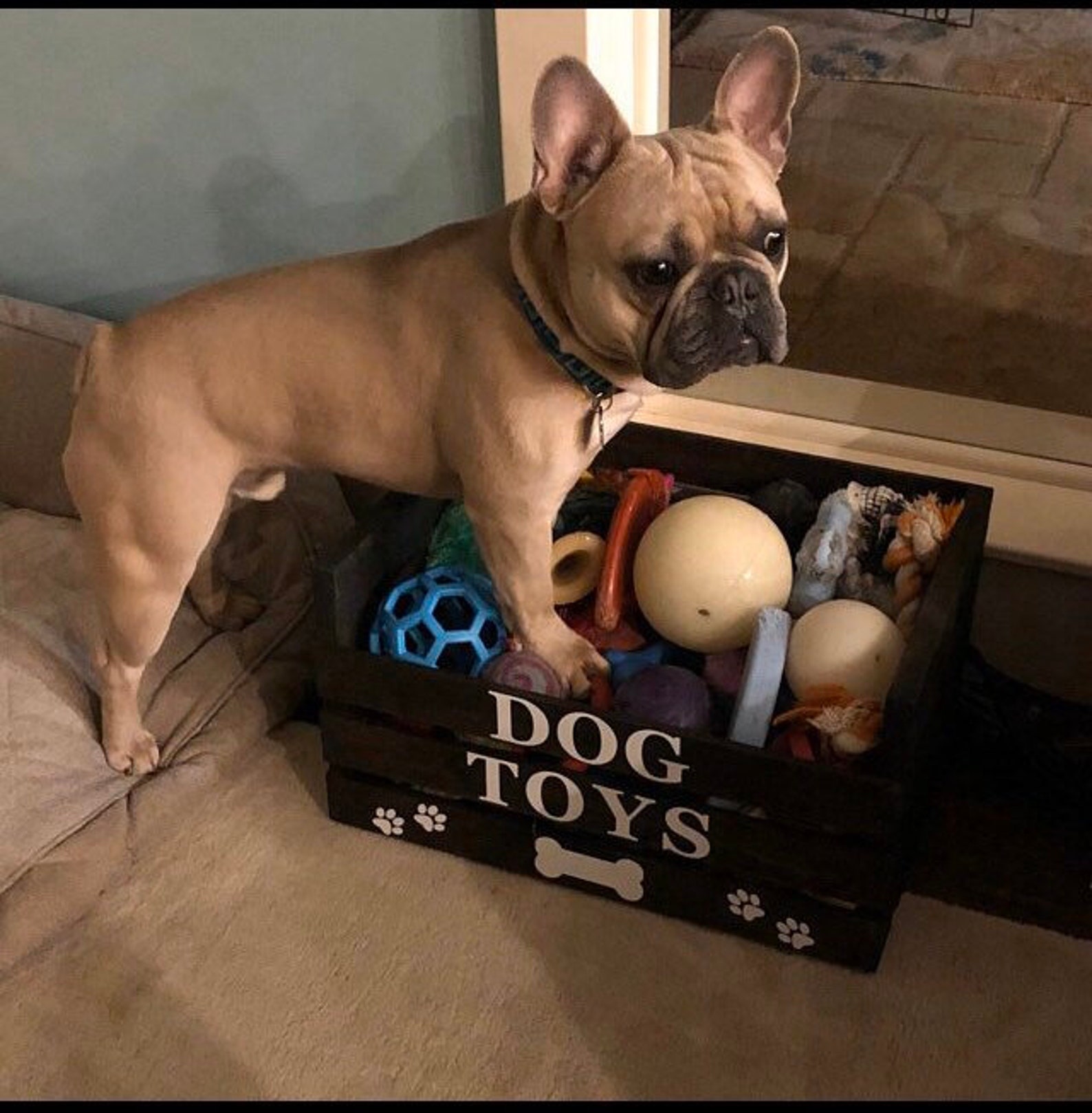 Dog Toy Box Large Dog Toy Box Pet Storage Pet Organization | Etsy