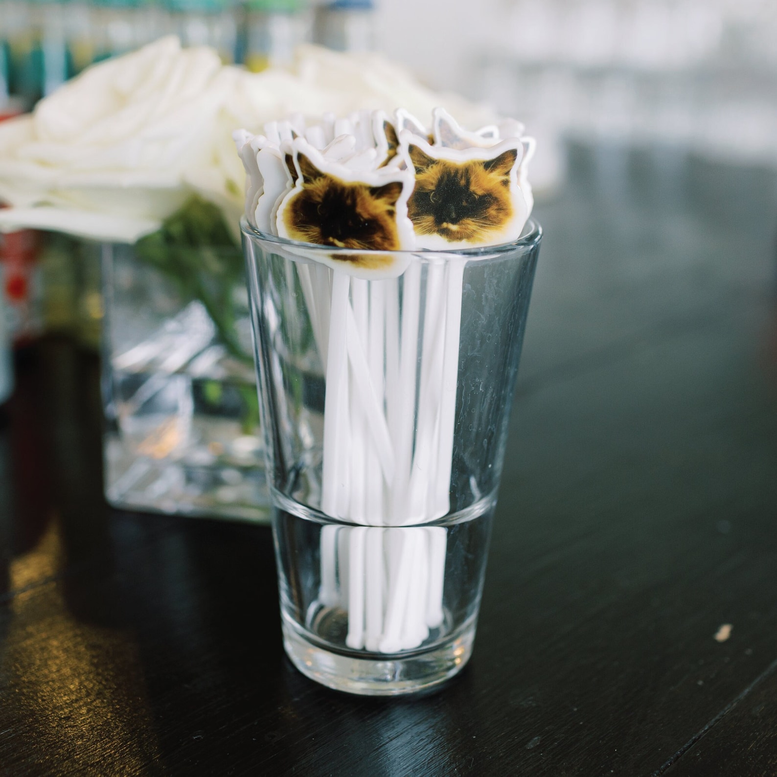 Custom Cat Drink Stirrer | Cat Drink Stir | Swizzle Stick | Pet Drink ...