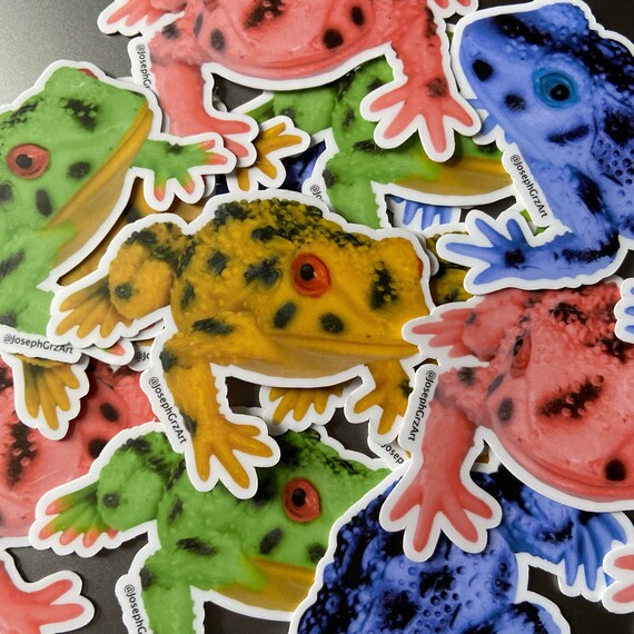 Frog Stickers Vinyl Stickers Water Bottle Stickers | Etsy