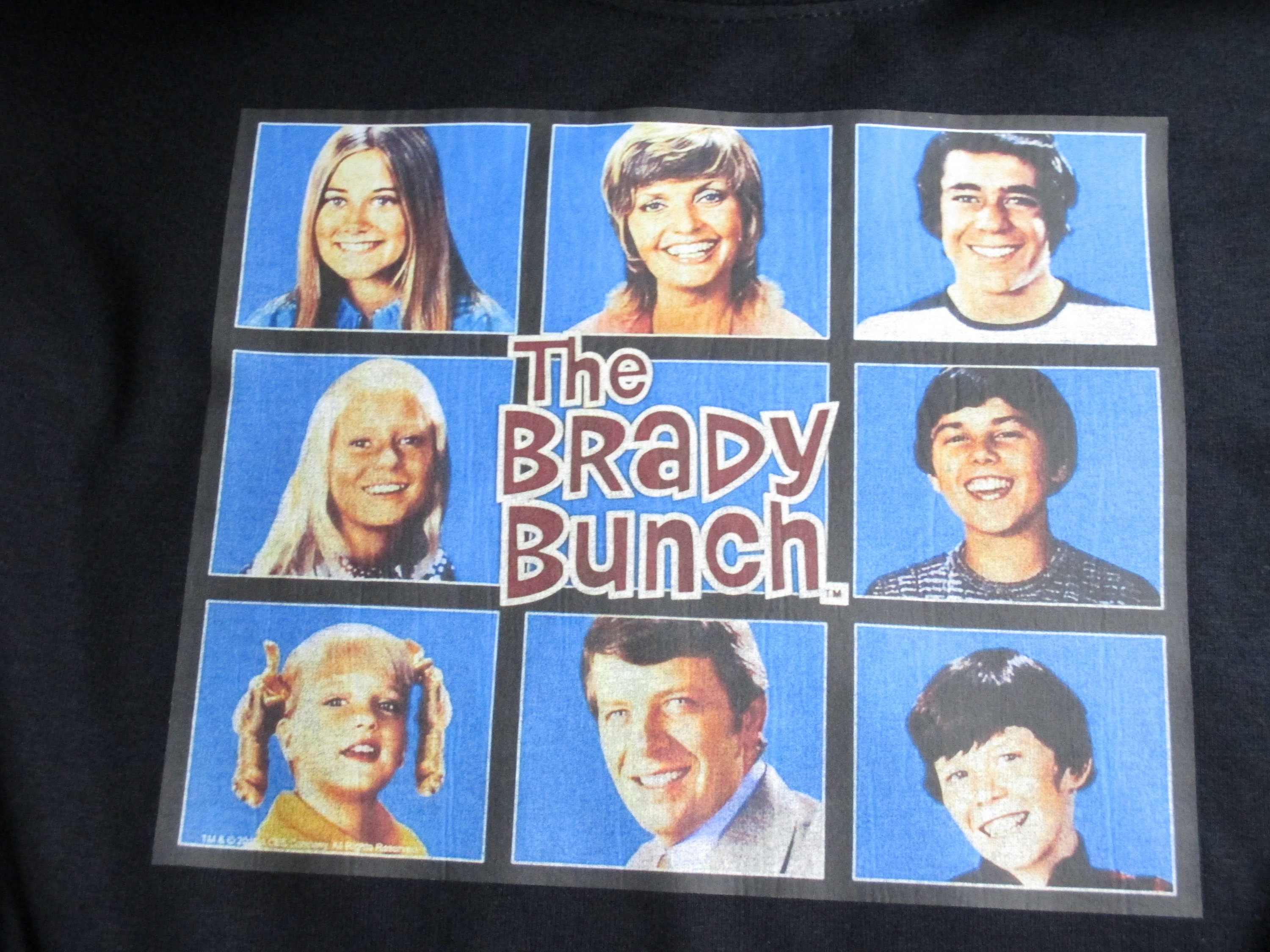 The Brady Bunch Logo