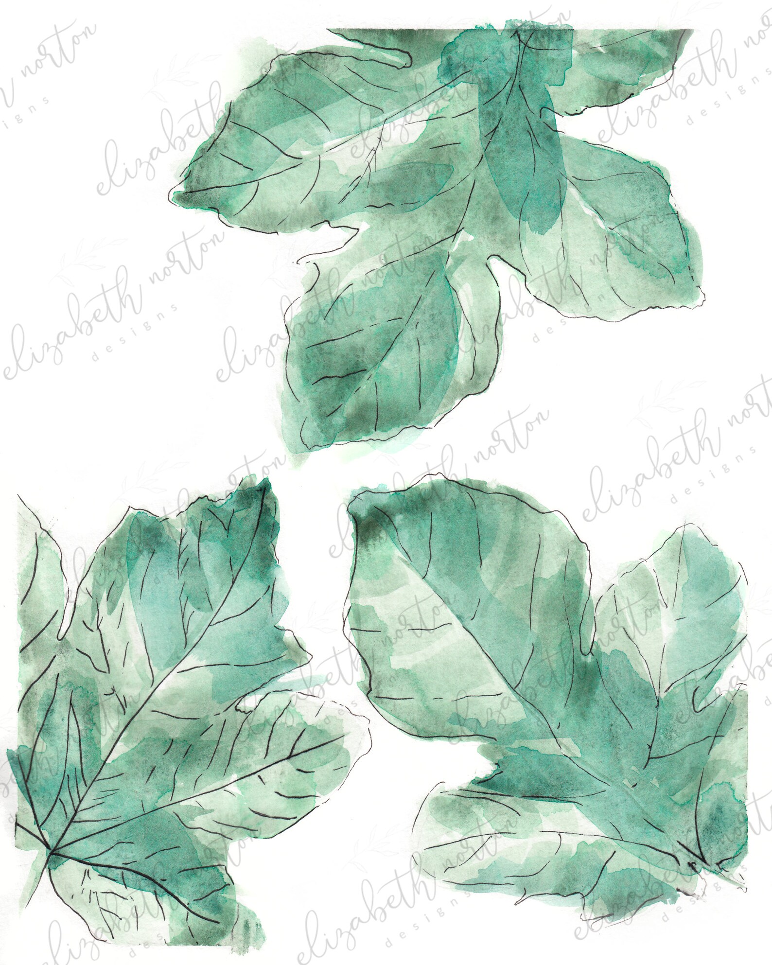 Fig Leaves Watercolor Fiddle Leaf Plant Watercolour Art - Etsy