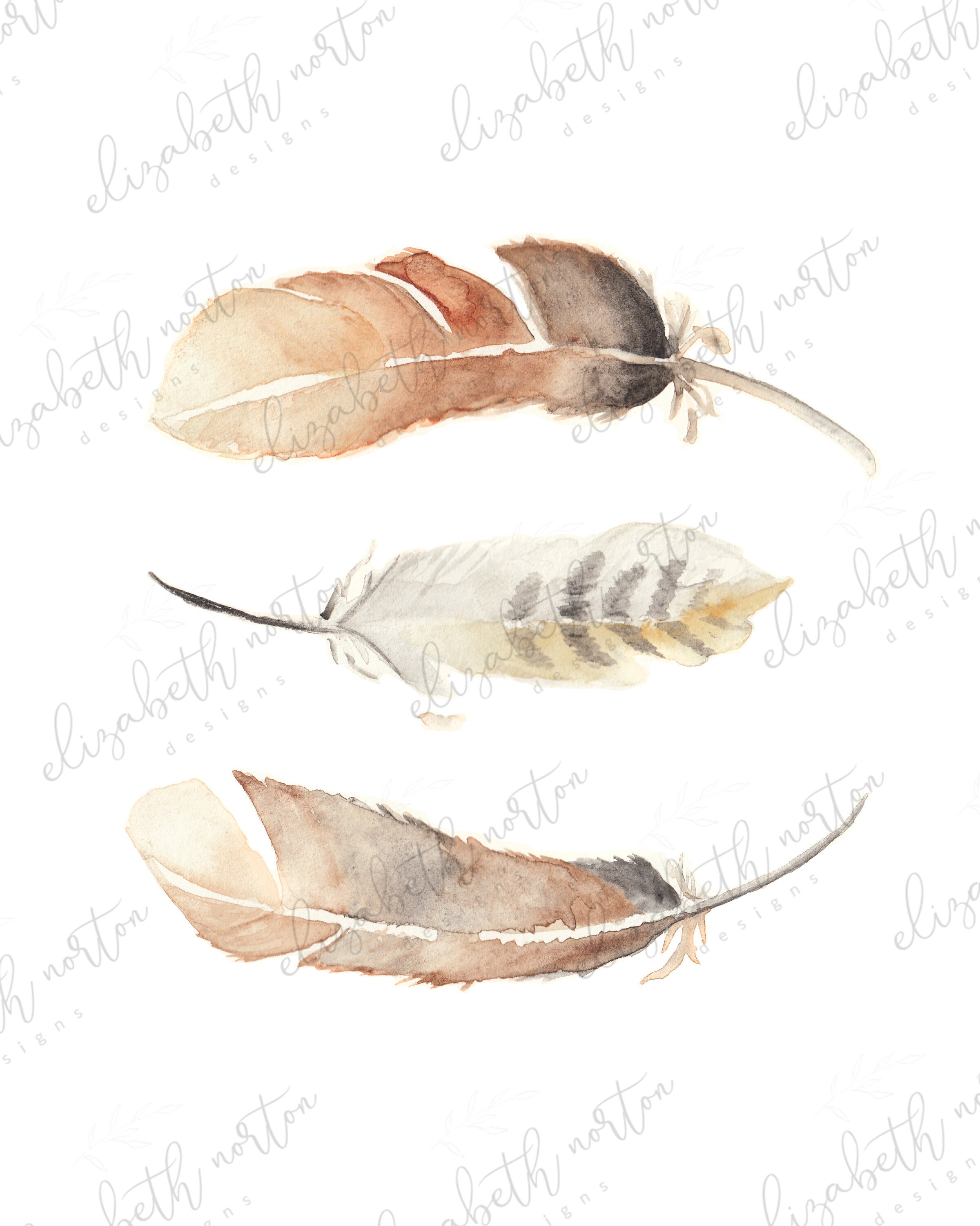 Feather Watercolor PRINT Feathers Watercolor Birds Boho - Etsy