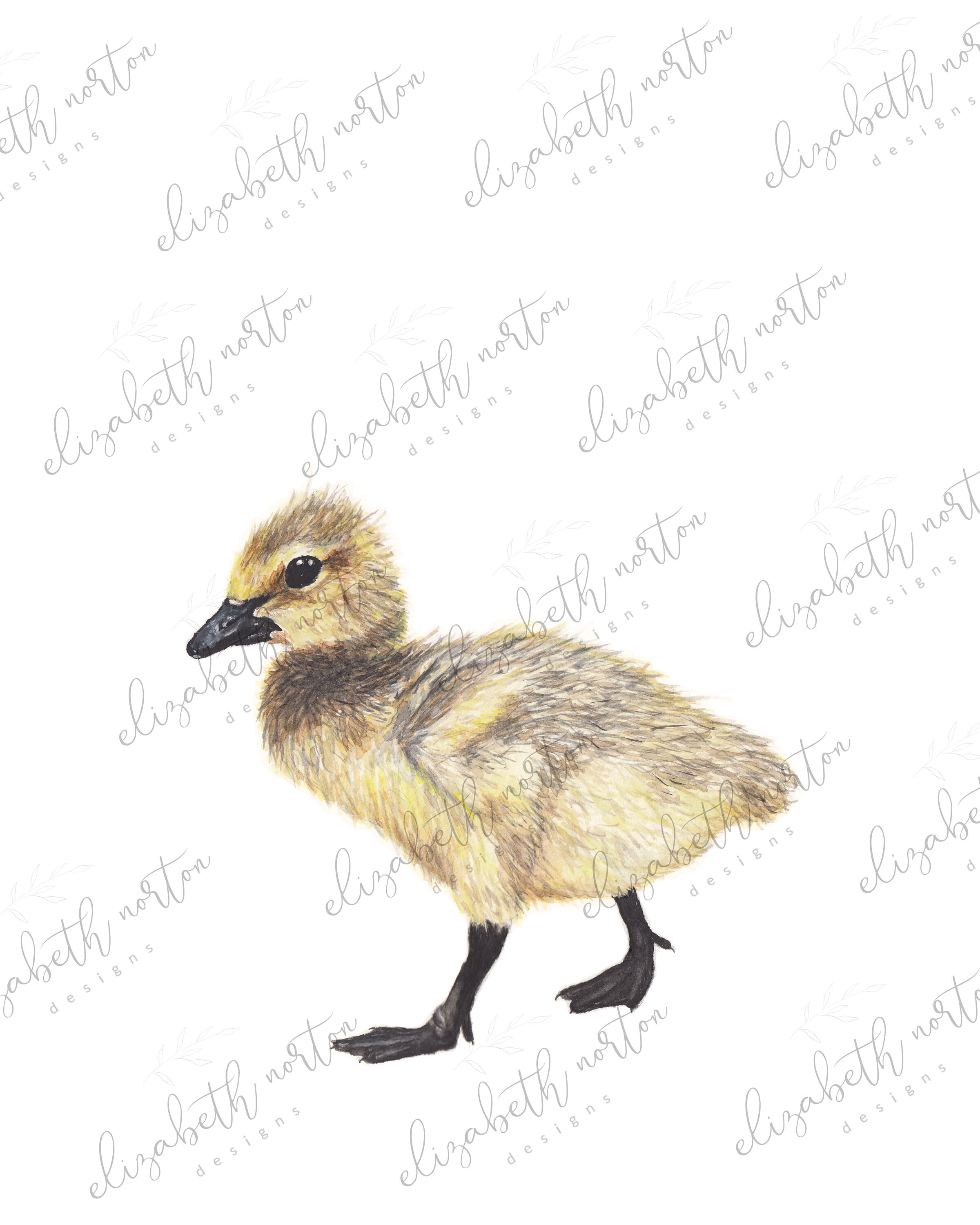 Gosling Watercolor Print gosling Print Gosling Paintings - Etsy