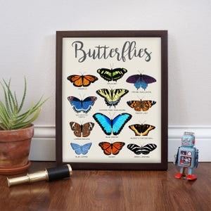 Butterfly Poster Butterfly Print Butterfly Wall Art Butterfly Art ...