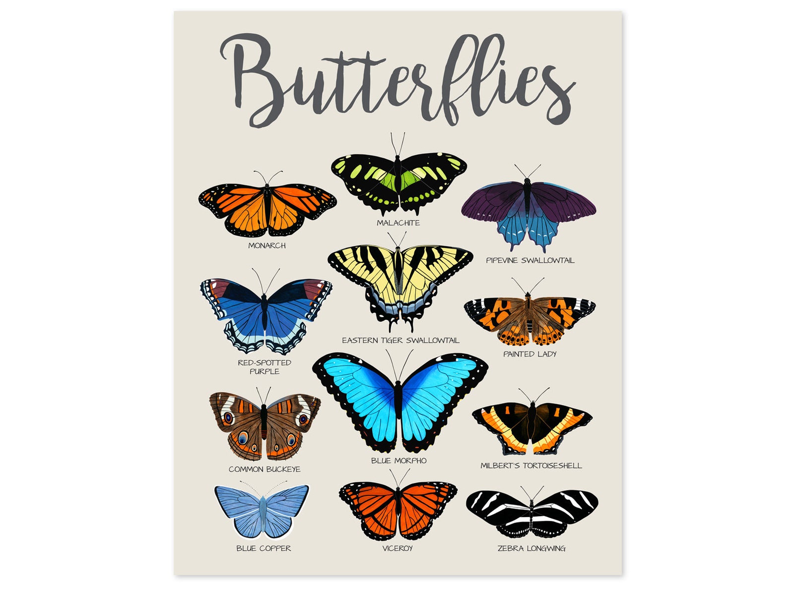 Butterfly Poster Butterfly Print Butterfly Wall Art Butterfly - Etsy