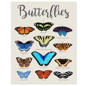 Butterfly Poster Butterfly Print Butterfly Wall Art Butterfly Art ...