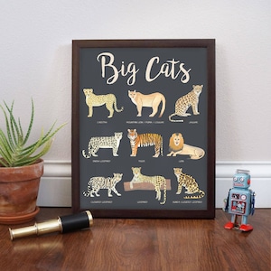 Big Cats Poster Educational Posters Kids Safari Nursery Decor Safari ...