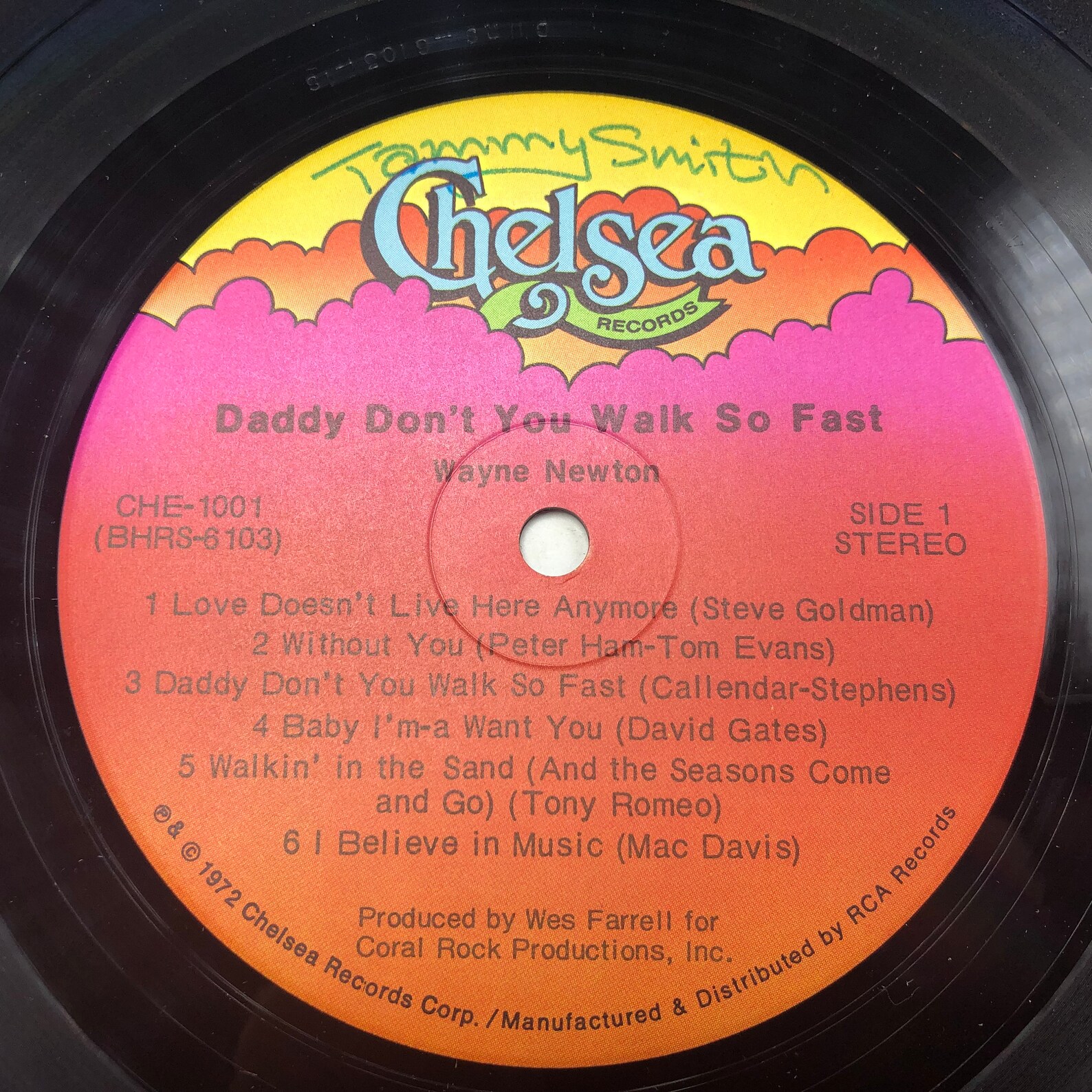 VINYL RECORD VINTAGE 33 Rpm Music Album Lp Vtg Cover Sleeve | Etsy