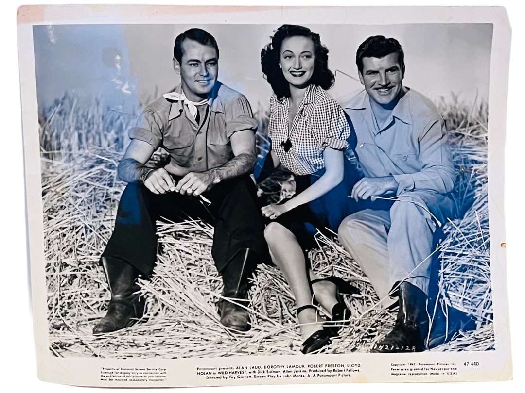 Lobby Card Vtg Movie Theater Poster 10X18 Wild Harvest Alan Ladd ...