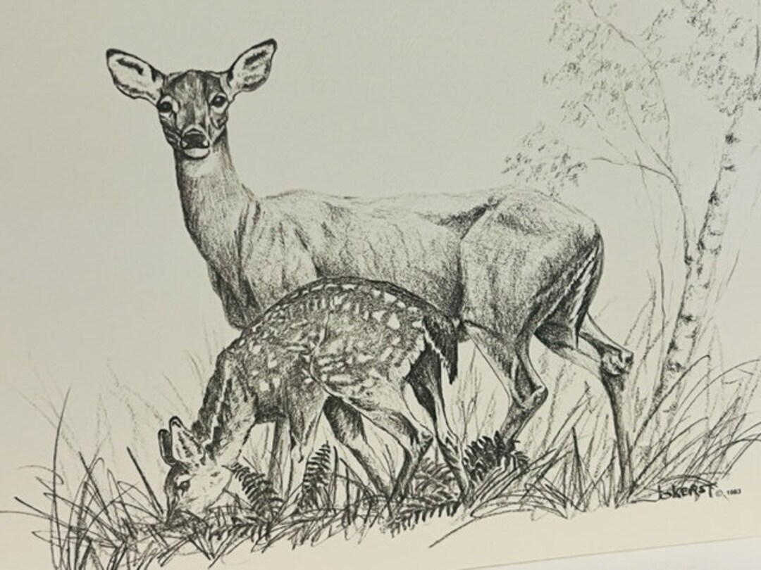 James Jokerst Western Wildlife Print Litho 12X9 Signed Art Animal Deer ...