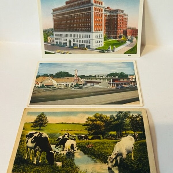 Lou Paper Postcard - Etsy