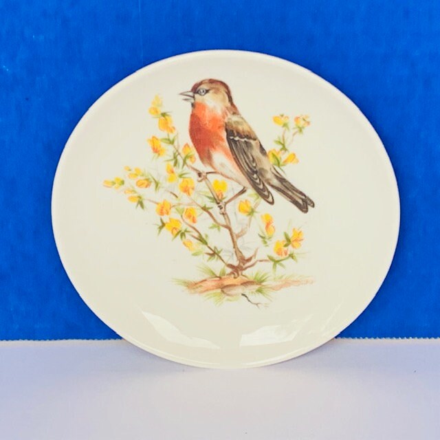 BIRD COLLECTOR PLATE Vintage Fine Bone China Porcelain Vtg Mcm - Etsy