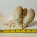 Seraphim Classics Angel Figurine Sculpture Roman Gift Evangeline Mercy ...