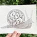 DISCO SNAIL PRINT, Disco Snail, Disco Ball, Snail Print, Snail Art ...