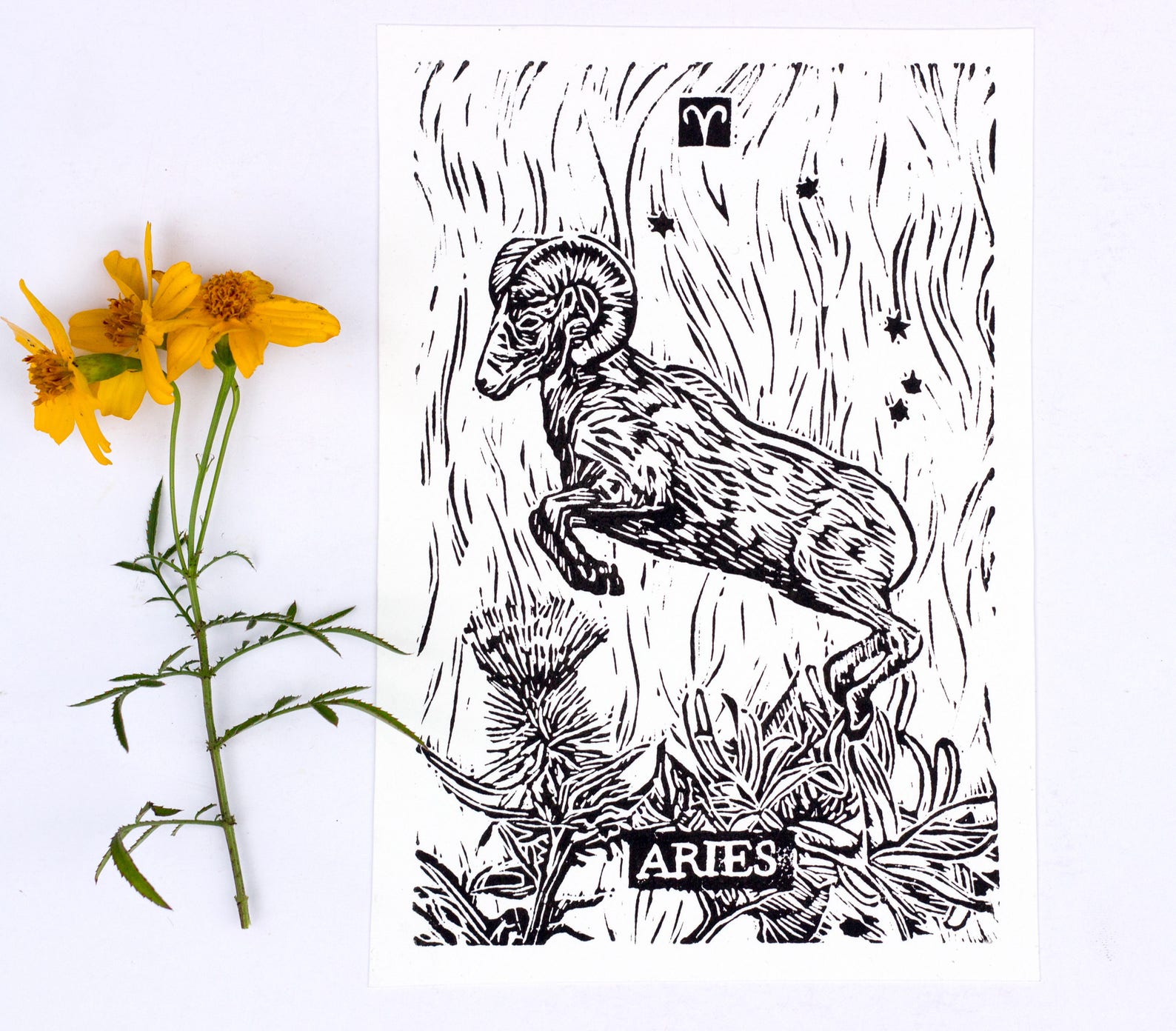 ARIES, Linocut Print, Zodiac Sign, Astrology Prints, Art Print, Wall ...