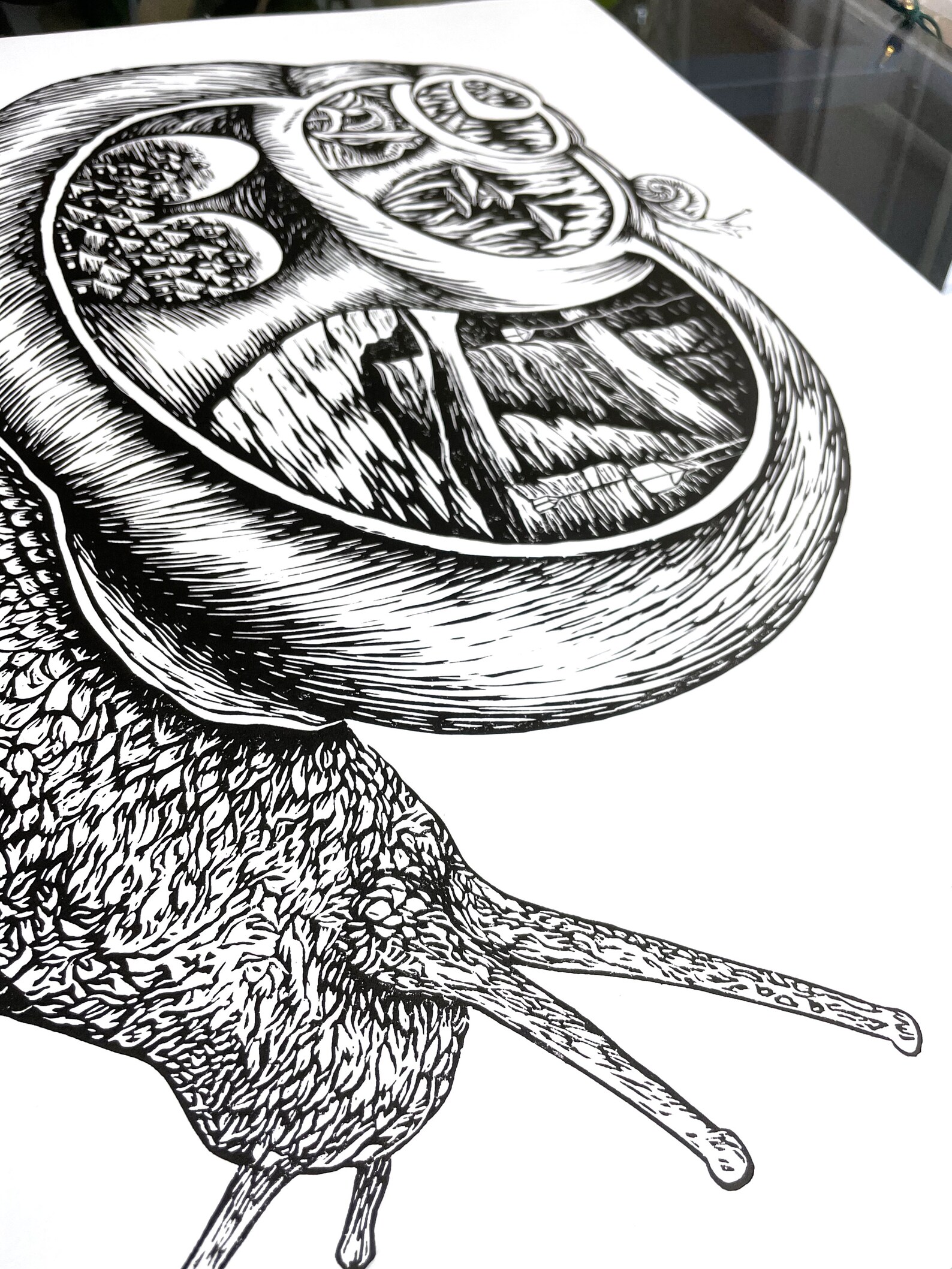 GIANT SNAIL PRINT Snail Print Snail Linocut Snail Art - Etsy