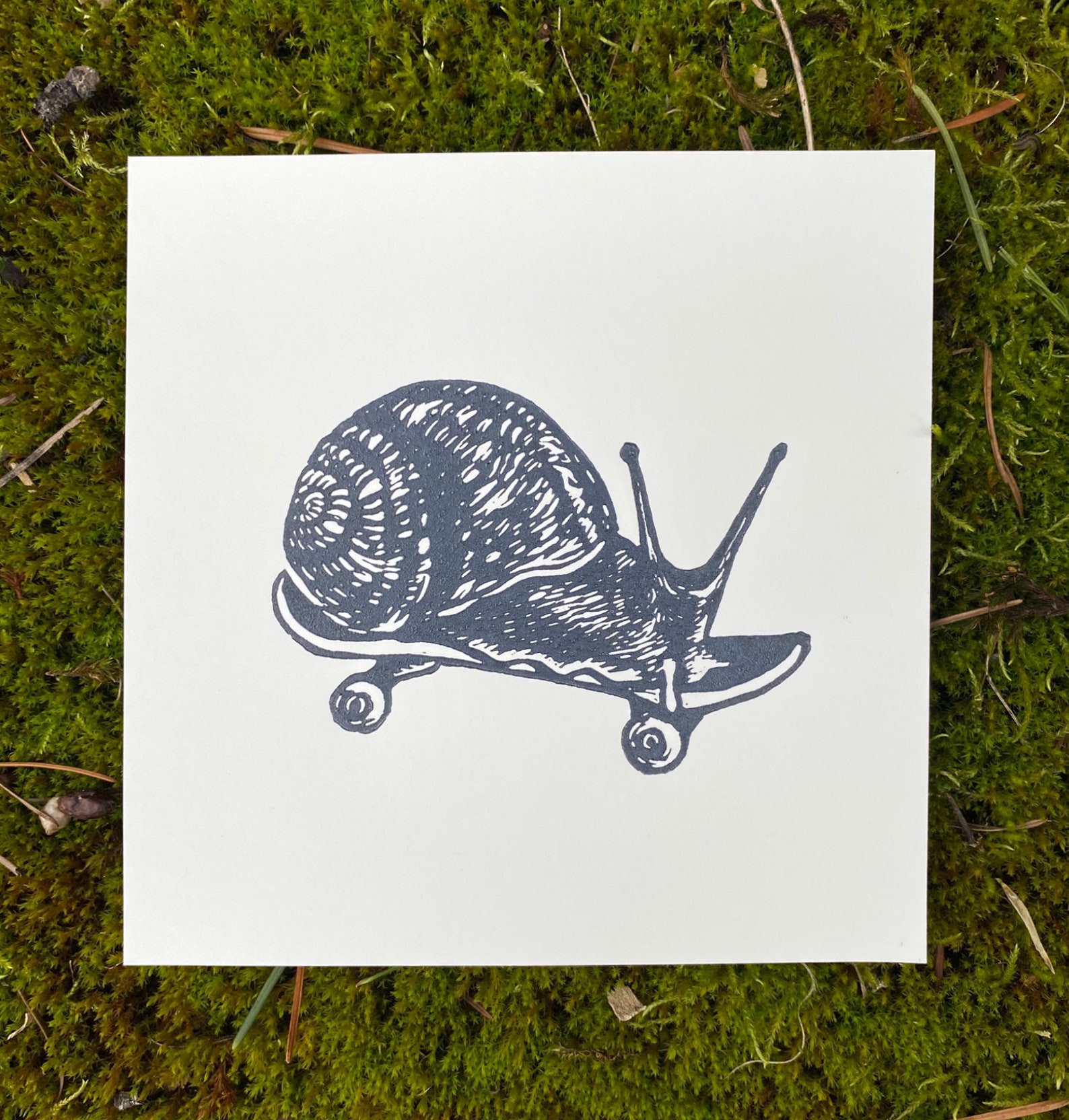 SKATER SNAIL PRINT Snail Print Snail Art Mini Print | Etsy