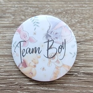 Classic Winnie the Pooh Team Boy and Team Girl Buttons for Baby Gender ...