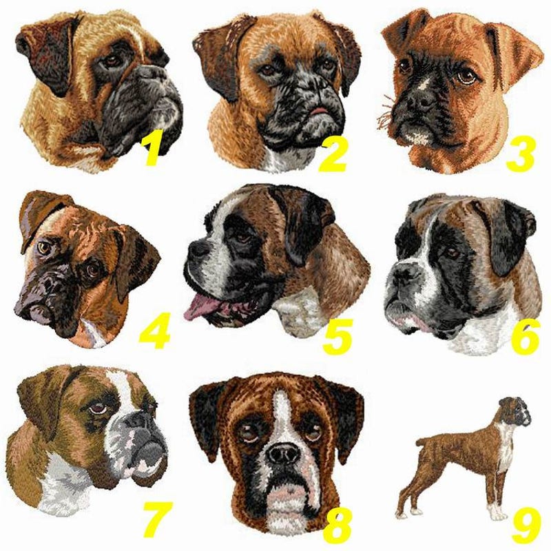 Embroidered Boxers - Etsy