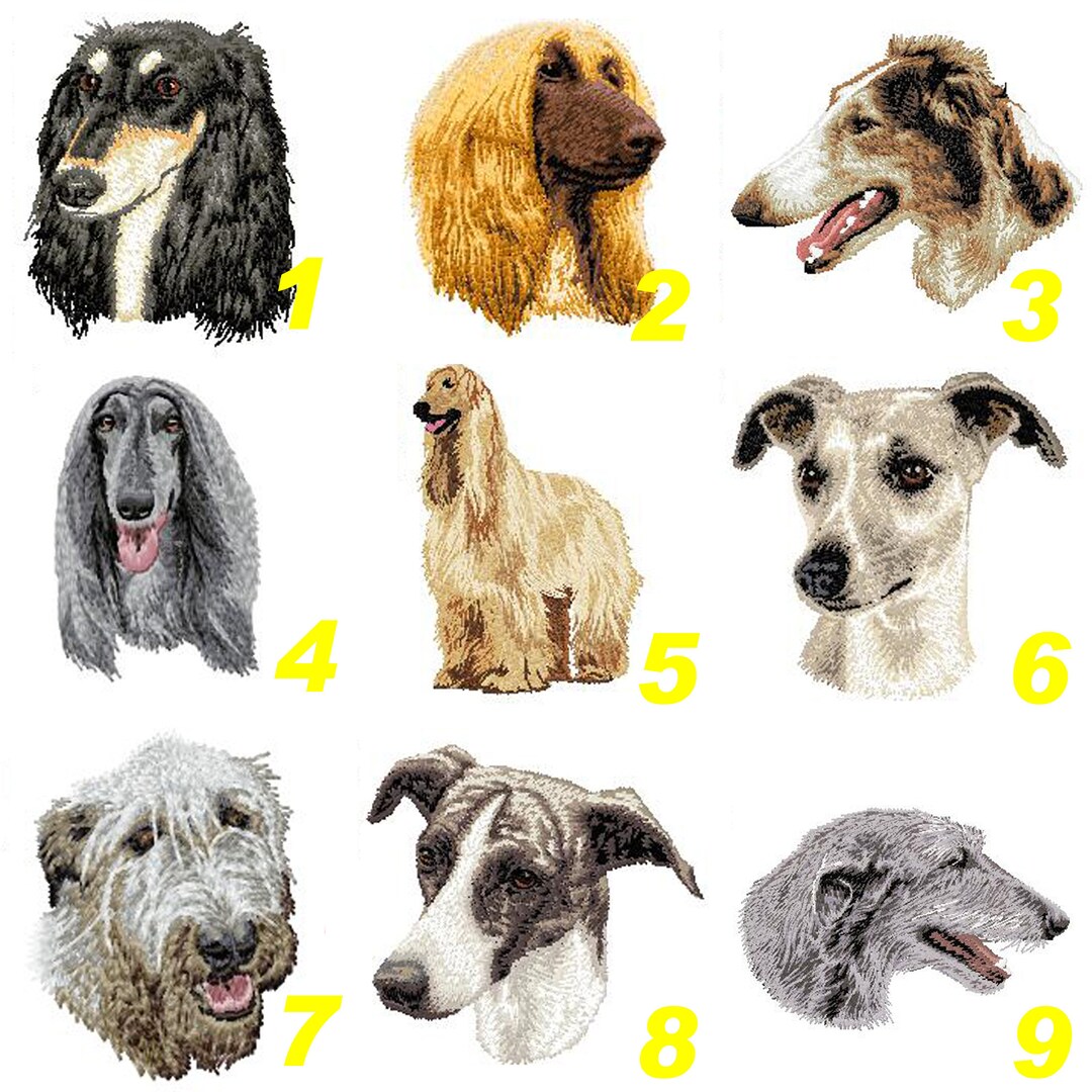 Embroidered Patch Badge, Afghan Hound, Whippet, Saluki, Irish Wolfhound ...