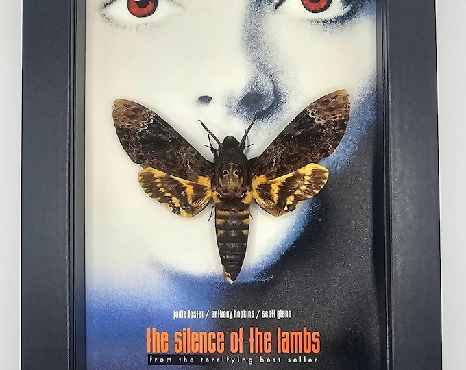 Real Deathshead Moth Silence of the Lambs Frame - Etsy