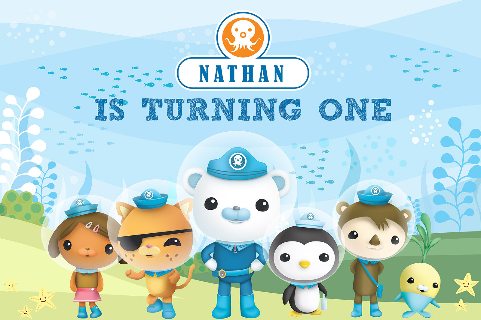 Octonauts Octonauts Birthday Party Backdrop Personlized Banner
