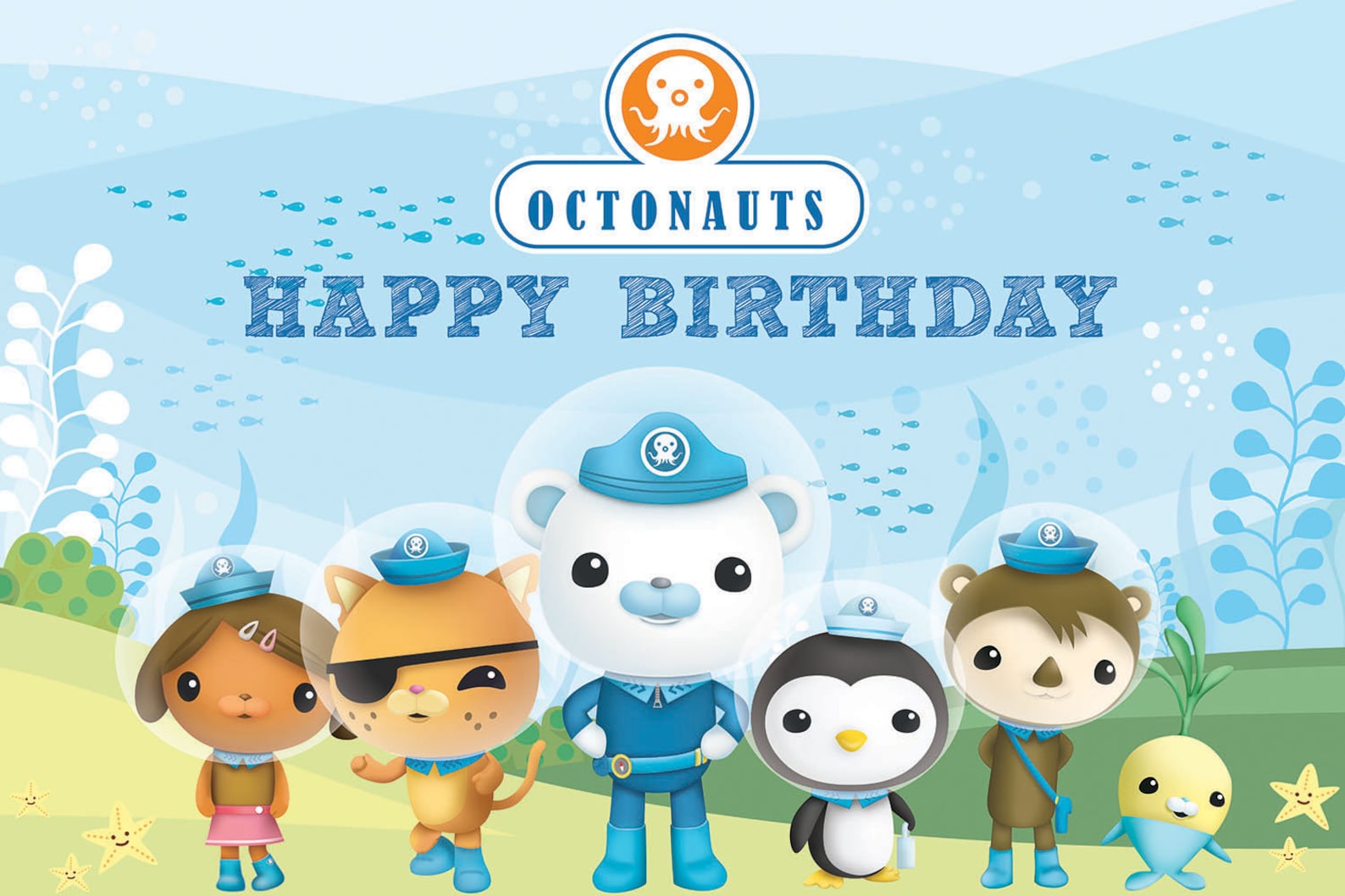 Octonauts | Octonauts Birthday Party Backdrop | Personlized | Banner ...
