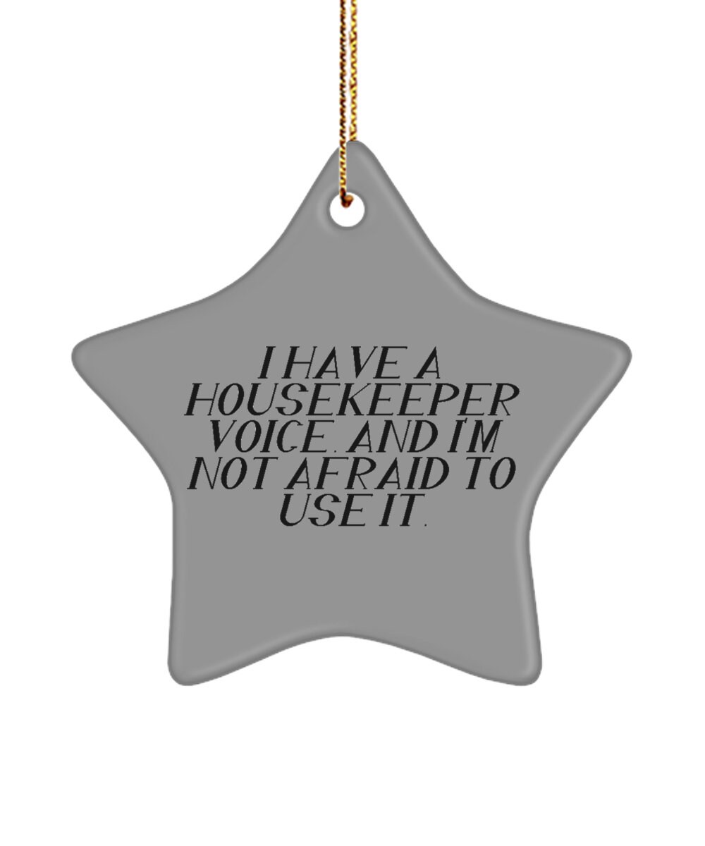 Perfect Housekeeper Gifts I Have A Housekeeper Voice. and - Etsy