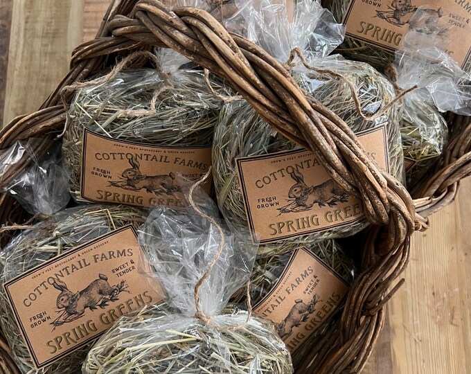 Primitive Spring Grassprimitive Prairie Grassprairie Grassspring Grass ...