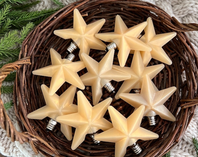 Warm Star Bulb Primitive Star Light Handmade Star Light Primitive Light ...