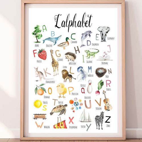 Alphabet Beetles Illustrations Print Vertical ABC Poster - Etsy Israel