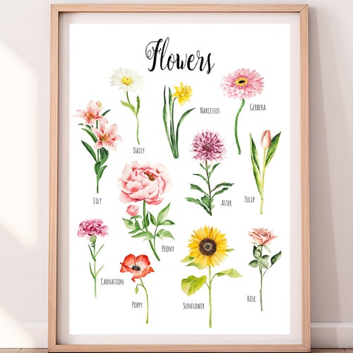 Birds Downloadable Prints Watercolor Montessori Educational - Etsy