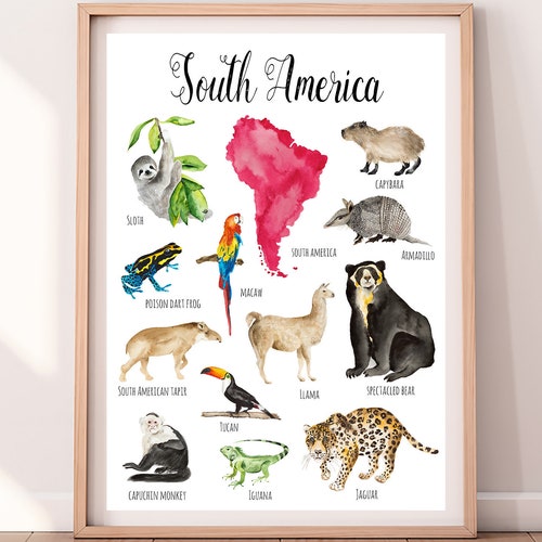 Montessori SOUTH AMERICA Continent Collection - Etsy