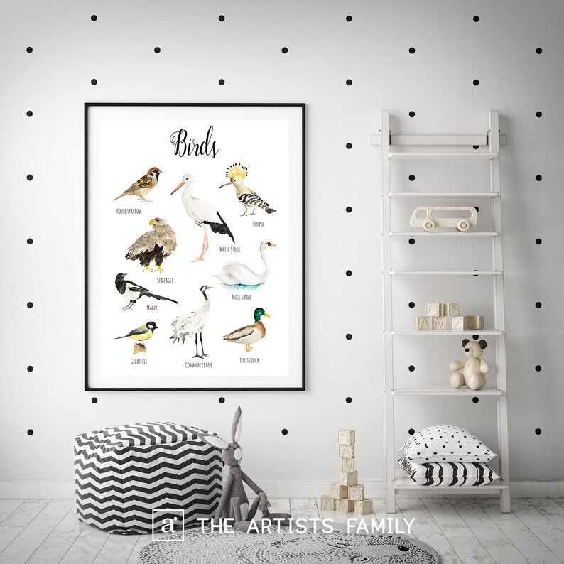 Birds Downloadable Prints Watercolor Montessori Educational - Etsy