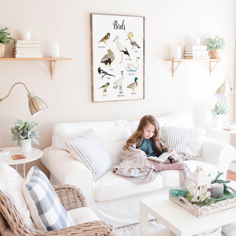 Birds Downloadable Prints Watercolor Montessori Educational - Etsy