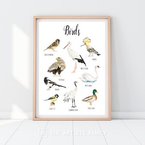 Birds Downloadable Prints Watercolor Montessori Educational Posters ...