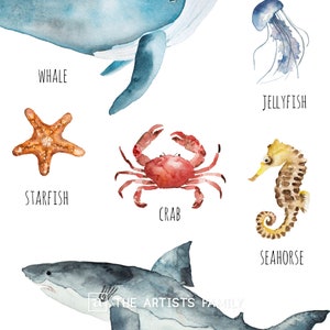 Ocean Animals Downloadable Prints Watercolor Montessori - Etsy