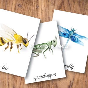 BUGS Insects Card Material Montessori Nomenclature Flash 3 - Etsy UK
