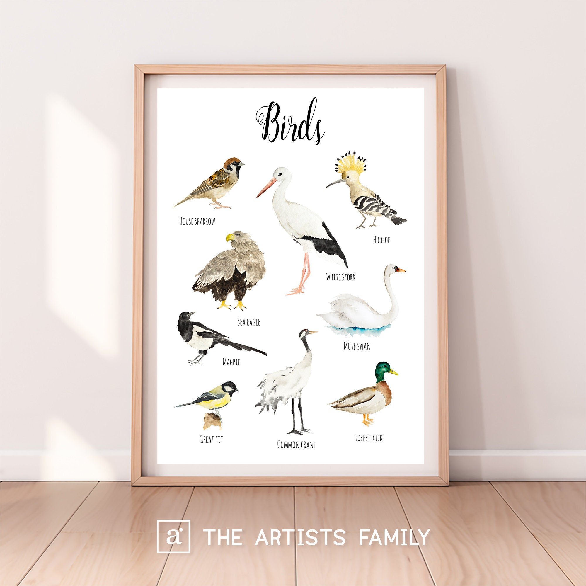 Birds Downloadable Prints WaterColor Montessori Educational | Etsy