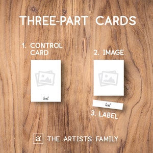 COLORS Card Material Montessori Nomenclature Flash 3 Part Educational ...