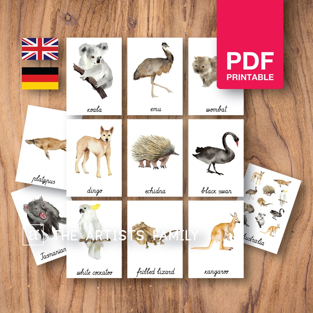 AUSTRALIA Continent Card Material Montessori Nomenclature Flash 3 Parts ...