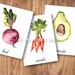 VEGETABLES Cards Watercolor Montessori Nomenclature Flash 3 - Etsy