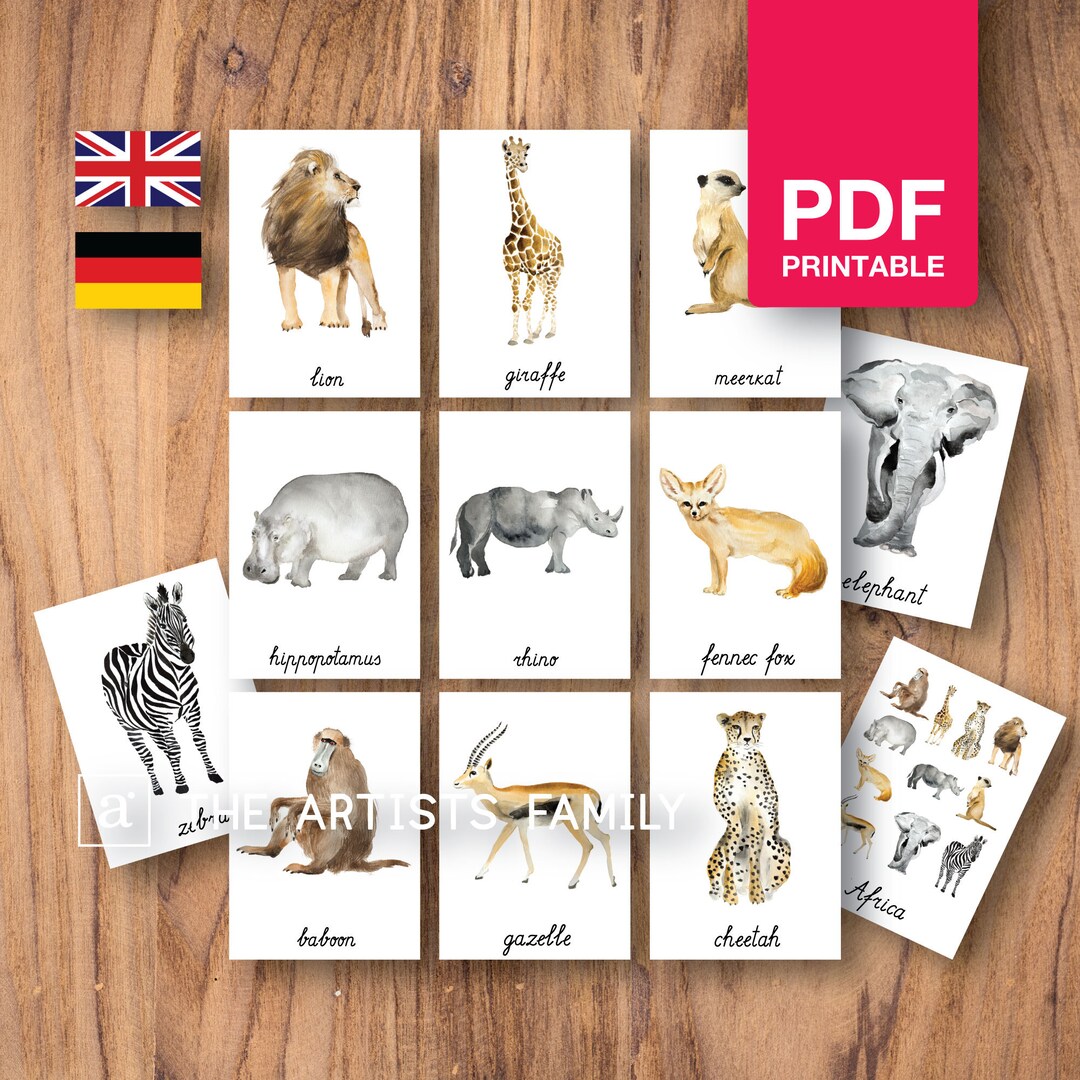 AFRICA Continent Card Material Montessori Nomenclature Flash 3 Parts ...