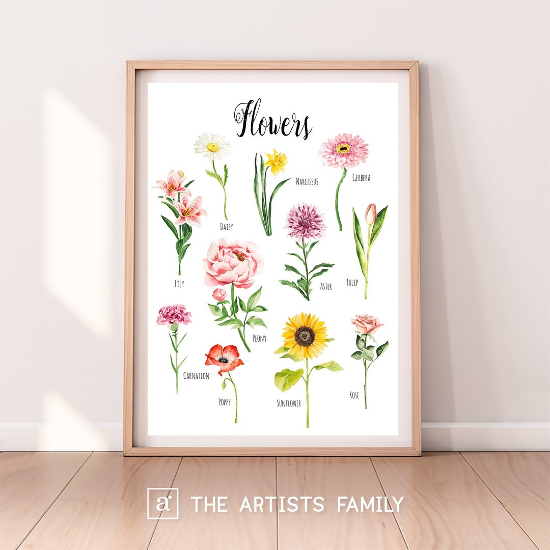 FLOWERS Downloadable Prints Watercolor Montessori Educational - Etsy