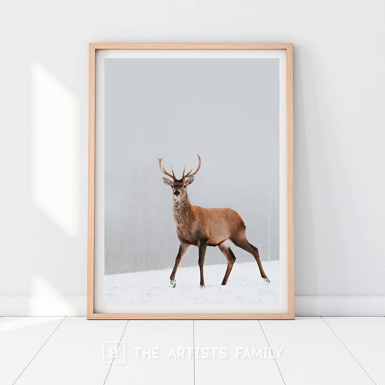 Deer Prints DOWNLOADABLE PRINTS Art Print Photography Print | Etsy
