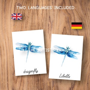 BUGS Insects Card Material Montessori Nomenclature Flash 3 - Etsy UK