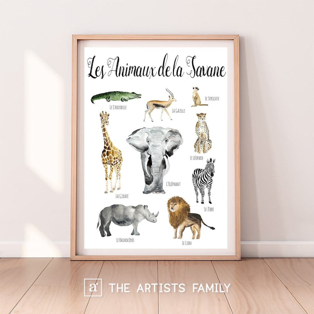 Les Animaux De La Savane French Educative Downloadable Prints - Etsy